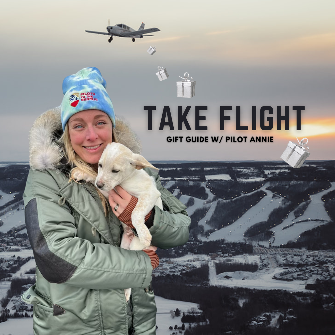 Take Flight T Guide W Pilot Annie Cockpit Usa